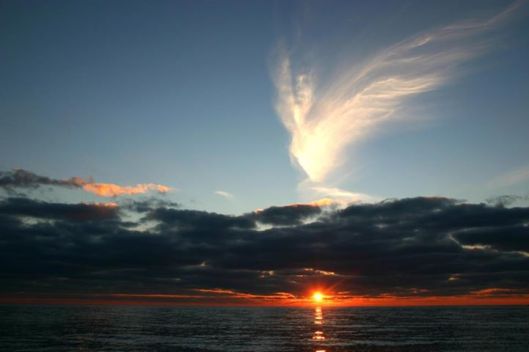 Undiminished Belief – BooknVolume