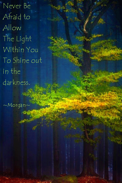 The Light Within – BooknVolume