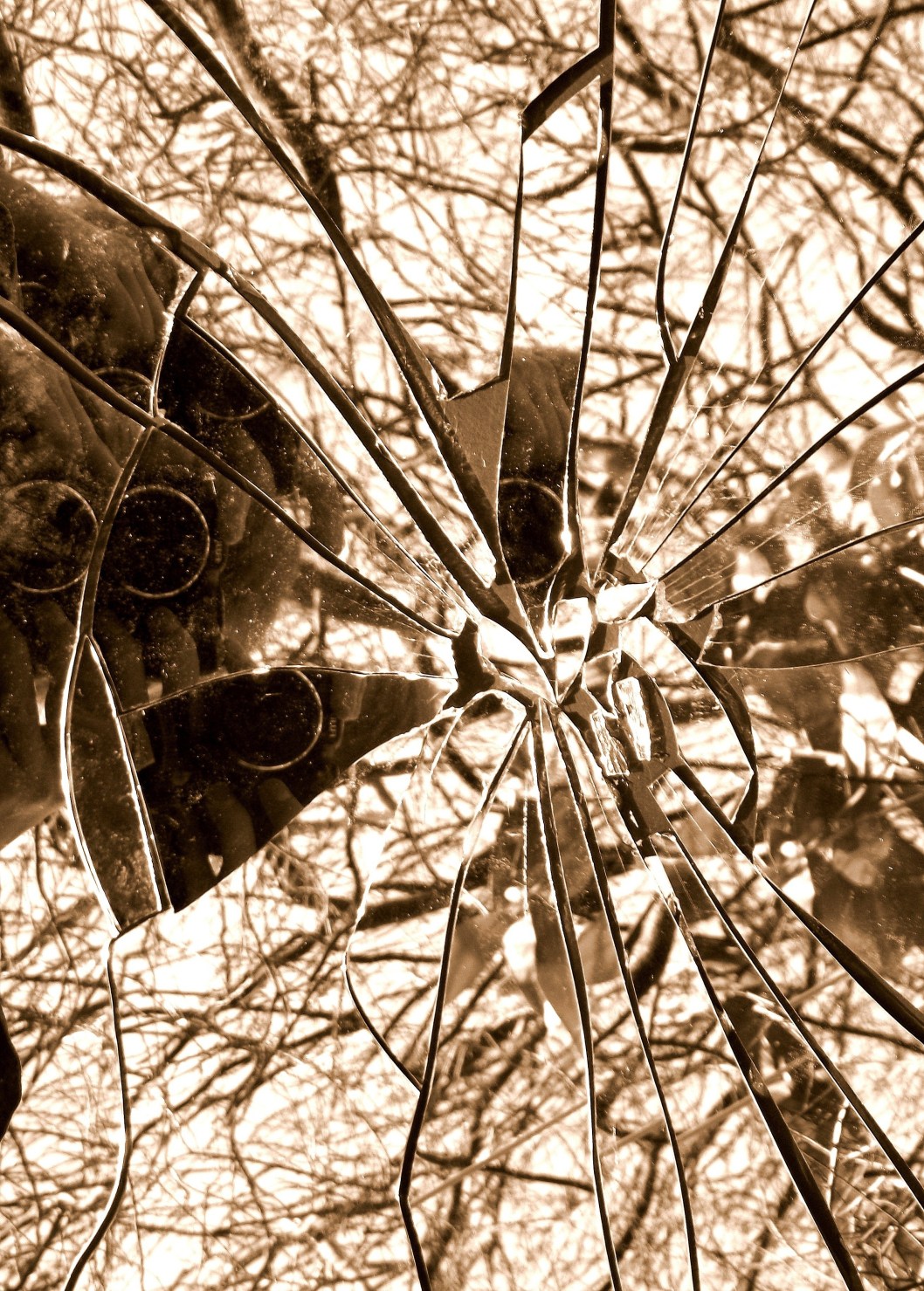 Friday Fantasy – The Pinnacle Chapter of Dark Fey – BooknVolume