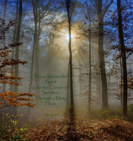 Whispering Serenity- #A Boring Moment -#COVID-19 #Meditations of #Hope ...