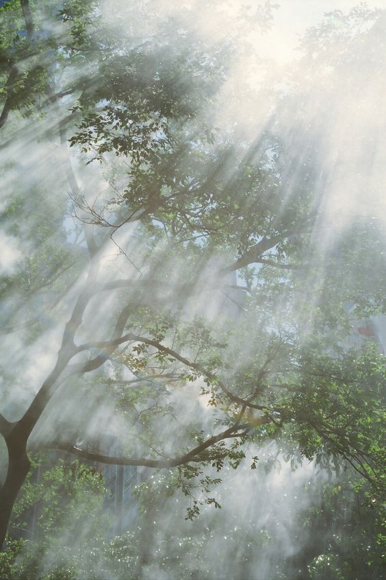 Enchanted Realm= #Poetry of the #Mystical #NaturalWorld – BooknVolume