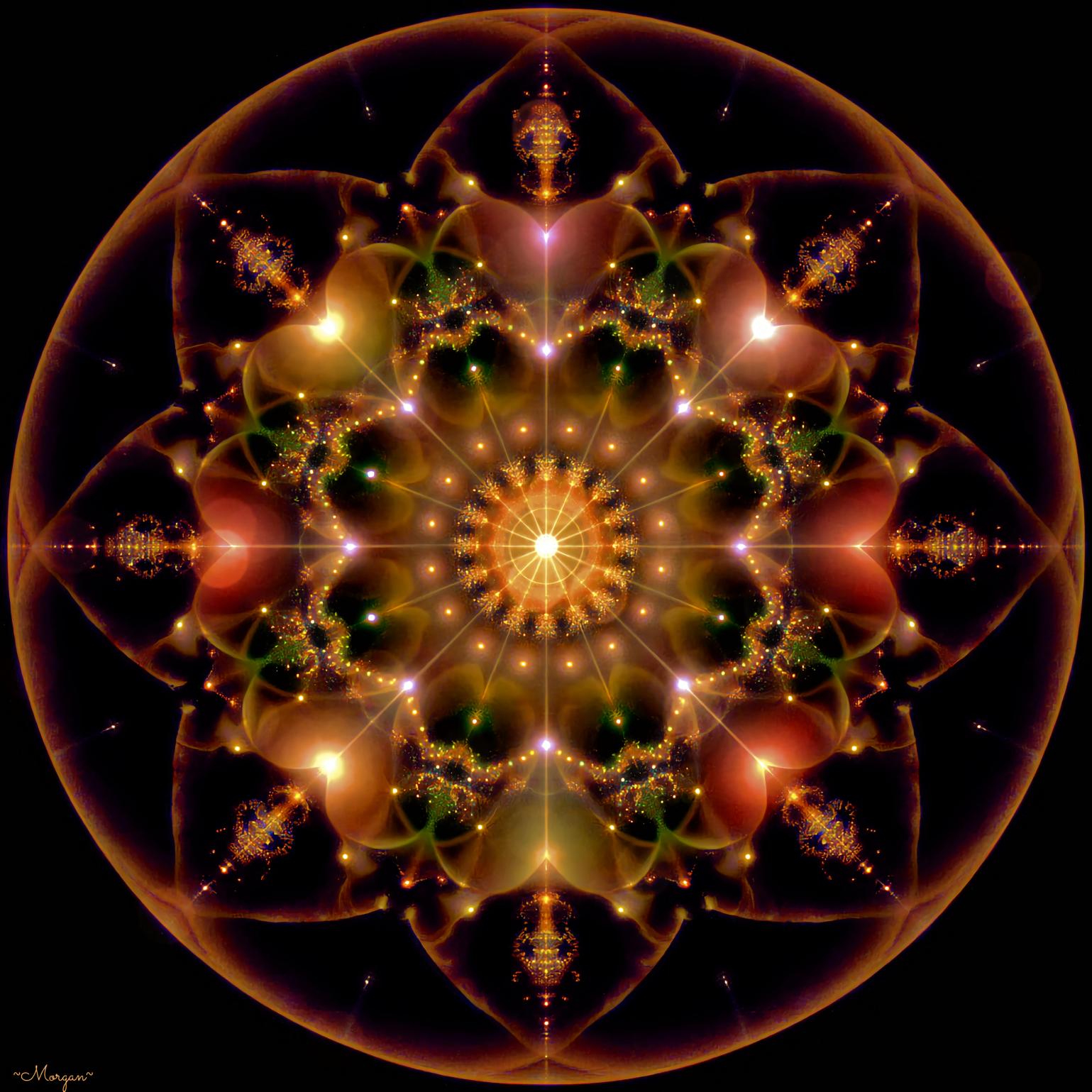 Celestial Harmonics -Daily Mandala Series – BooknVolume